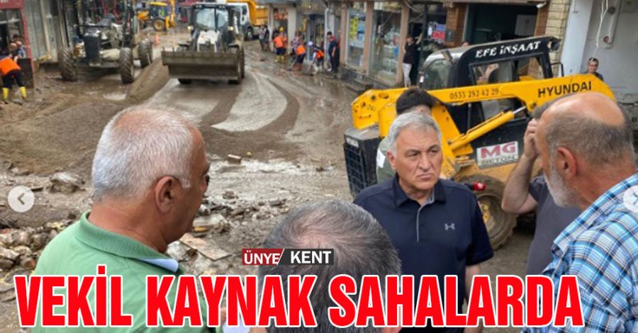 Vekil Kaynak sahalarda